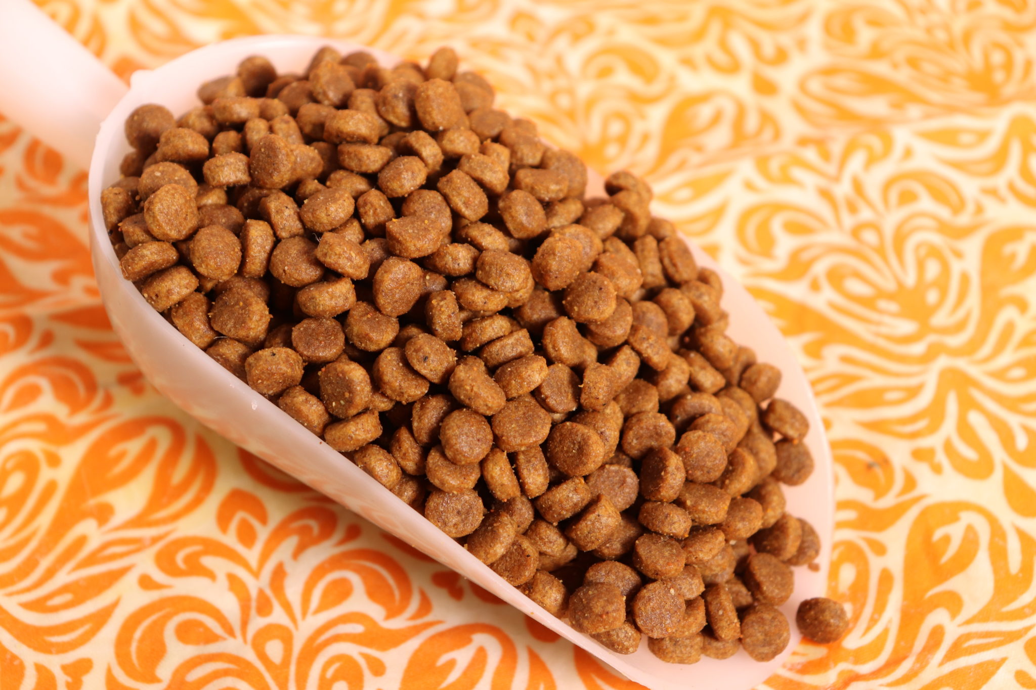 Croquettes chats d'intérieur (1Kg) - Au Méli Mélo du vrac